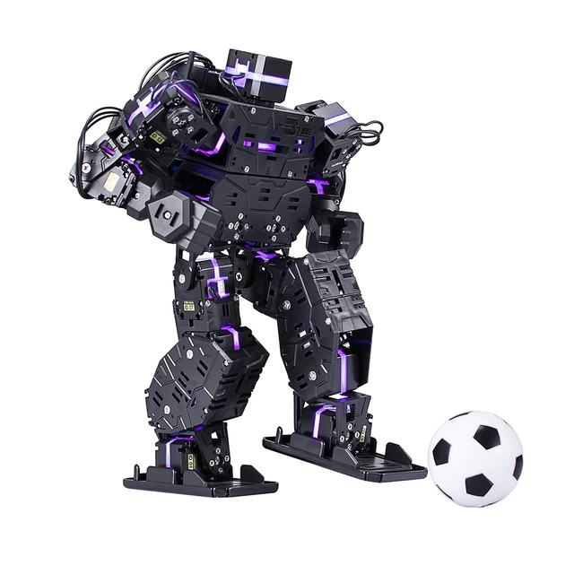 27cm My Robot Time LINE-Core M Graphical Programmable Humanoid Robot ...