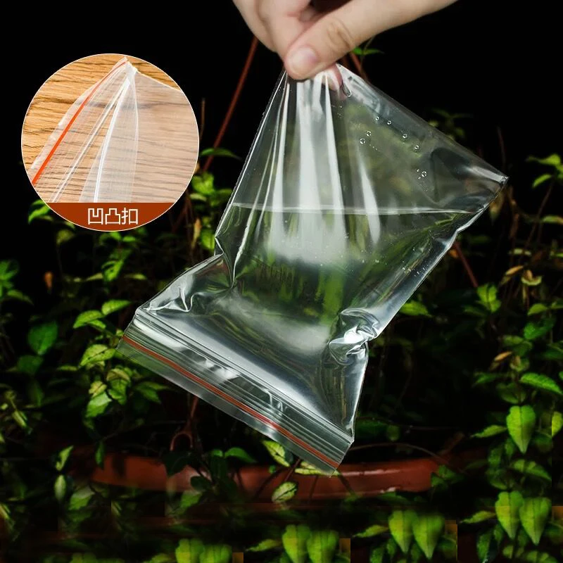 Ziplock Bag With Water