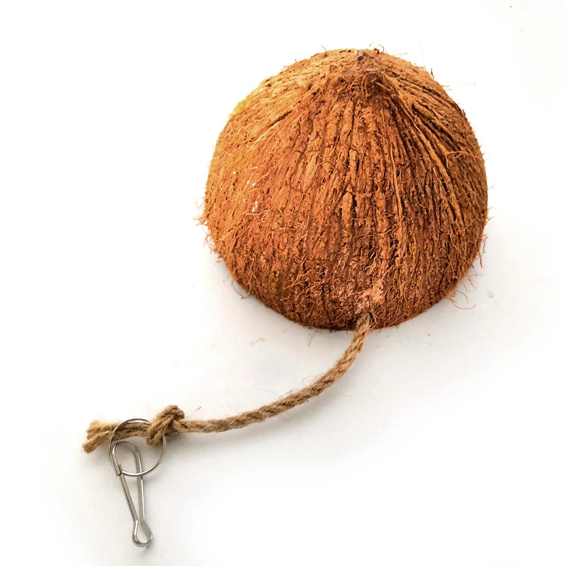 Pet Cage Swing Toy For Birds Natural Coconut Shell Bird House Hideout ...