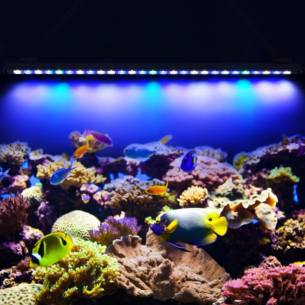 54W-81W-108W-Led-acquario-luce-acquario-luce-per-piante-da-pesce ...