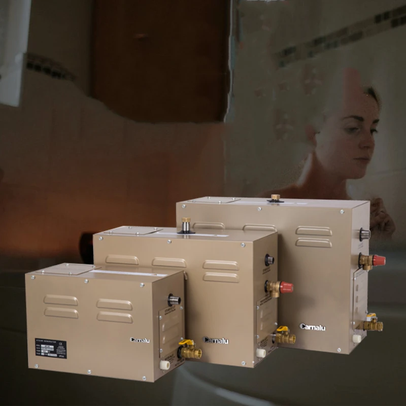 Sauna-steam-engine-Bathroom-steam-engine-Household-sweat-steam ...
