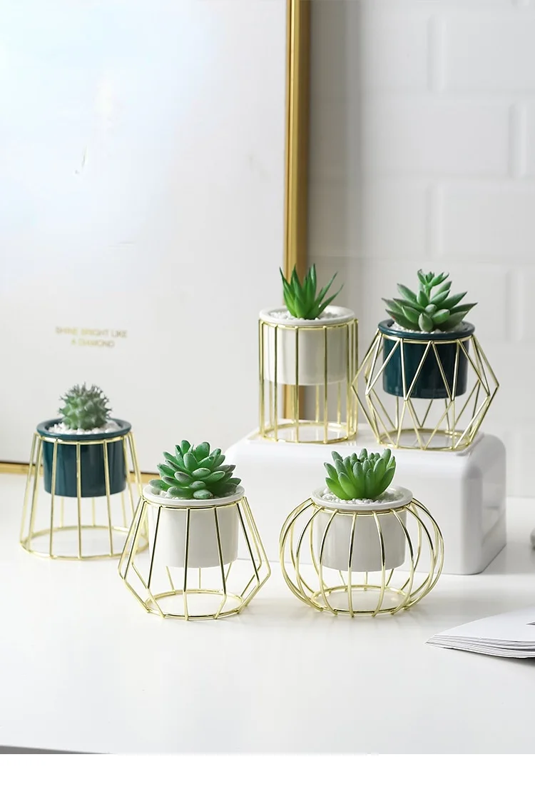 POT DE FLEUR,E-white--Pot de fleurs succulentes en fer forgé, Vase ...