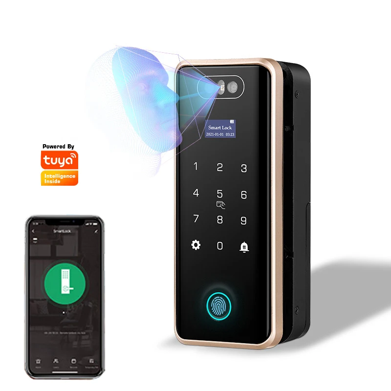 Face-ID-Unlock-Tuya-Wifi-Door-Lock-Smart-Lock-For-Slide-Glass-Door ...