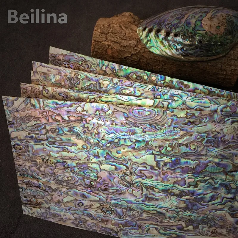 1lot-5pcs-High-Quality-Blue-Color-New-Zealand-Paua-Abalone-Shell ...