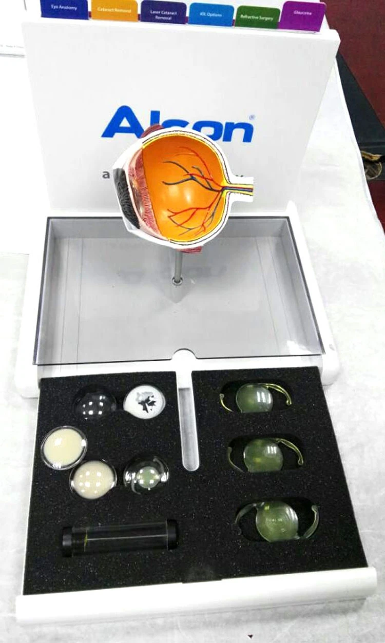 Cataract-eye-model-Eye-anatomy-model-Medical-anatomical-teaching-AIDS.jpg