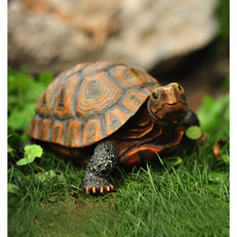 Cute Resin Tortoise Statue Outdoor Garden Pond Store Bonsai Decorative ...