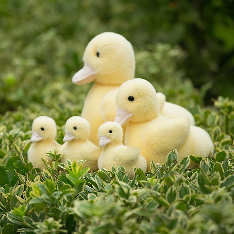 Cute Yellow Baby Ducks