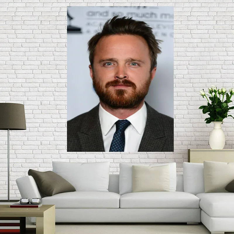 Aaron Paul Home