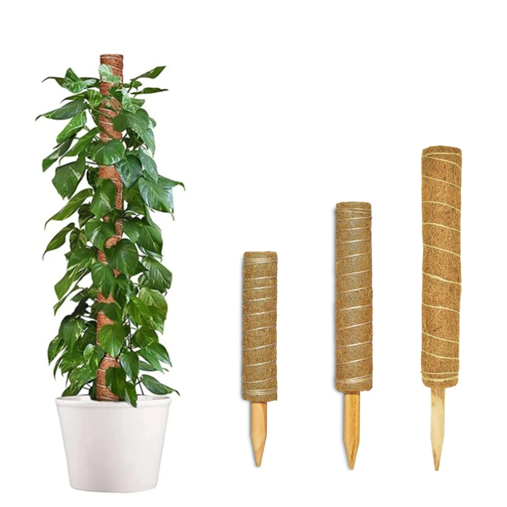 30-40-50cm-Plant-Climbing-Coir-Pole-Extendable-Plant-Support-for ...