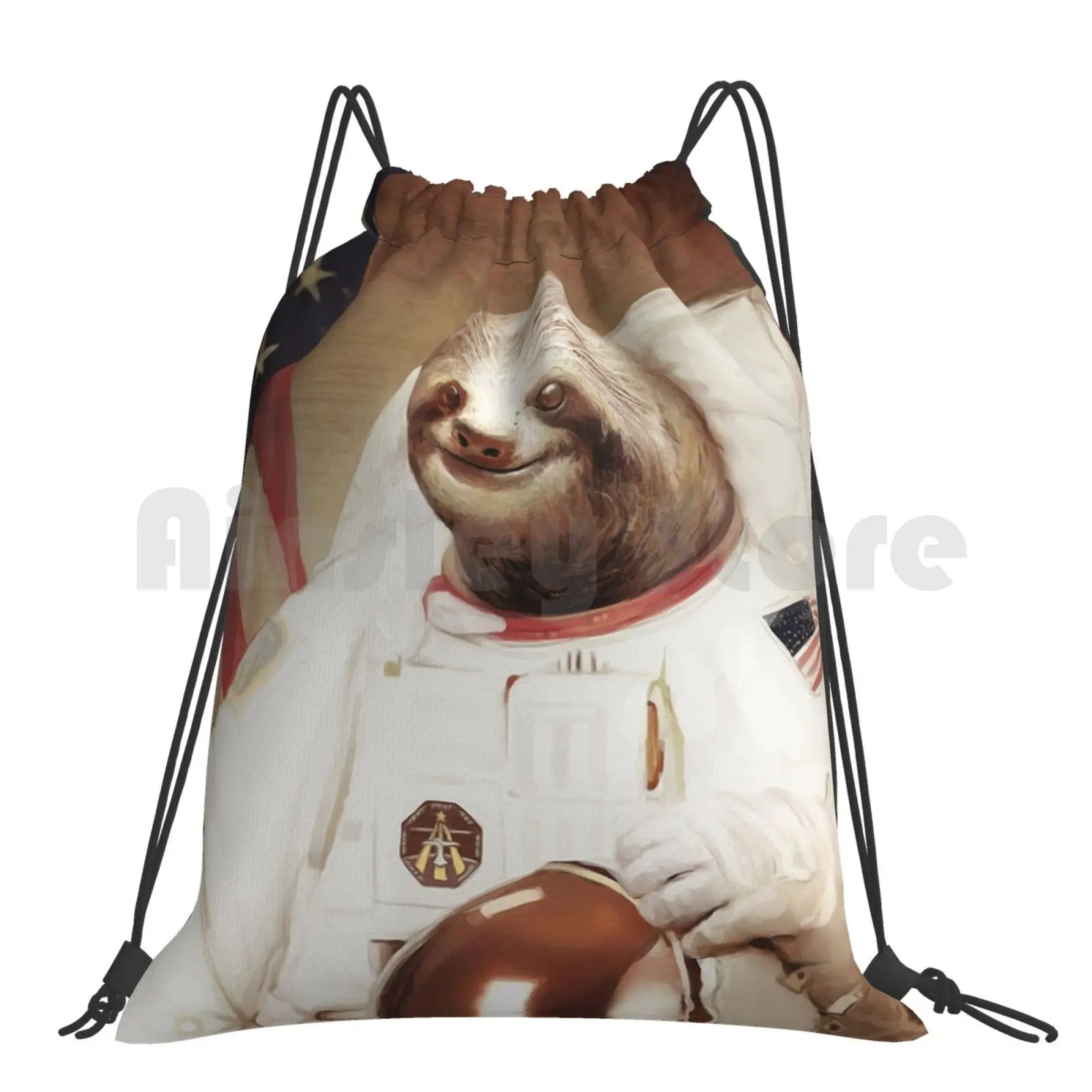 Astronaut Sloth Meme