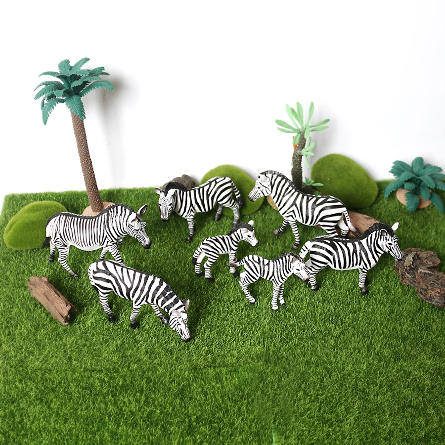 Miniature Zebra