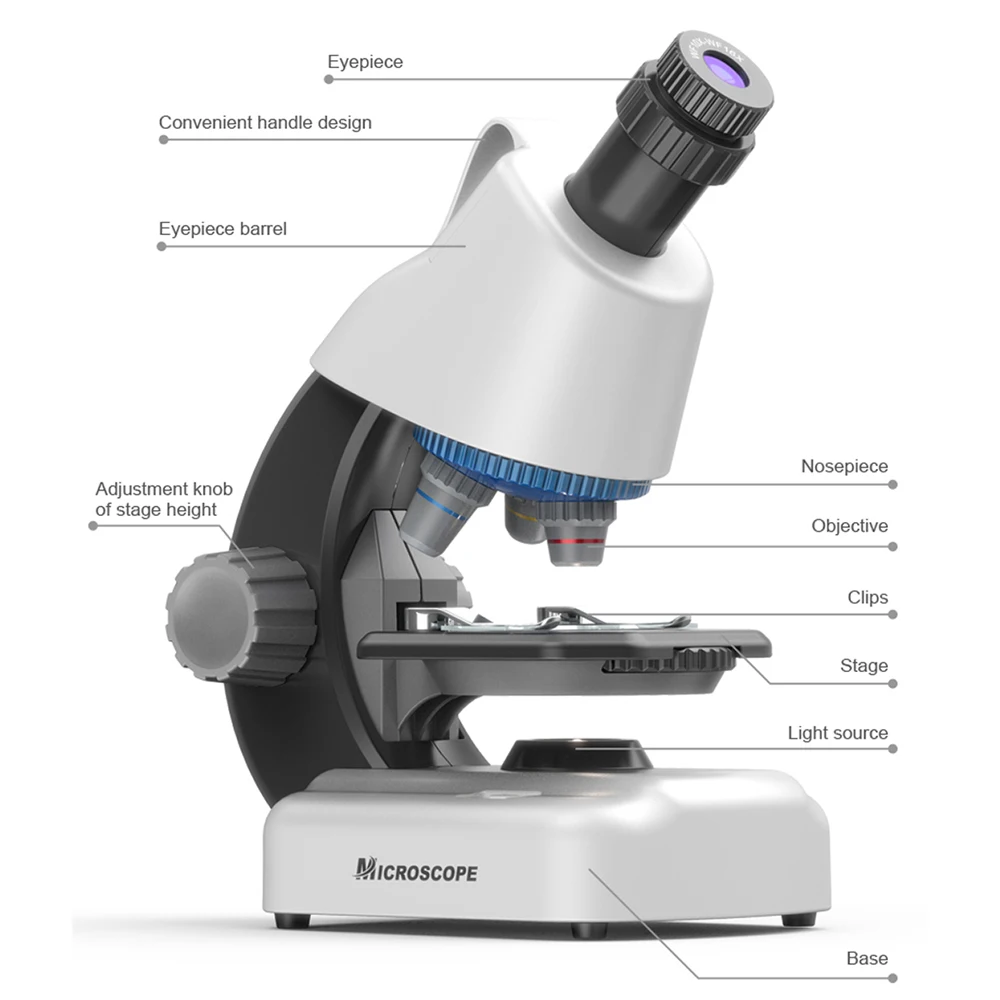 Parts Of A Microscope For Kids