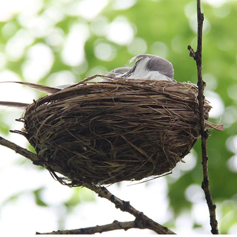 Volière,1 ensemble d'oiseaux plumes réalistes avec nid et œuf d'oiseau ...
