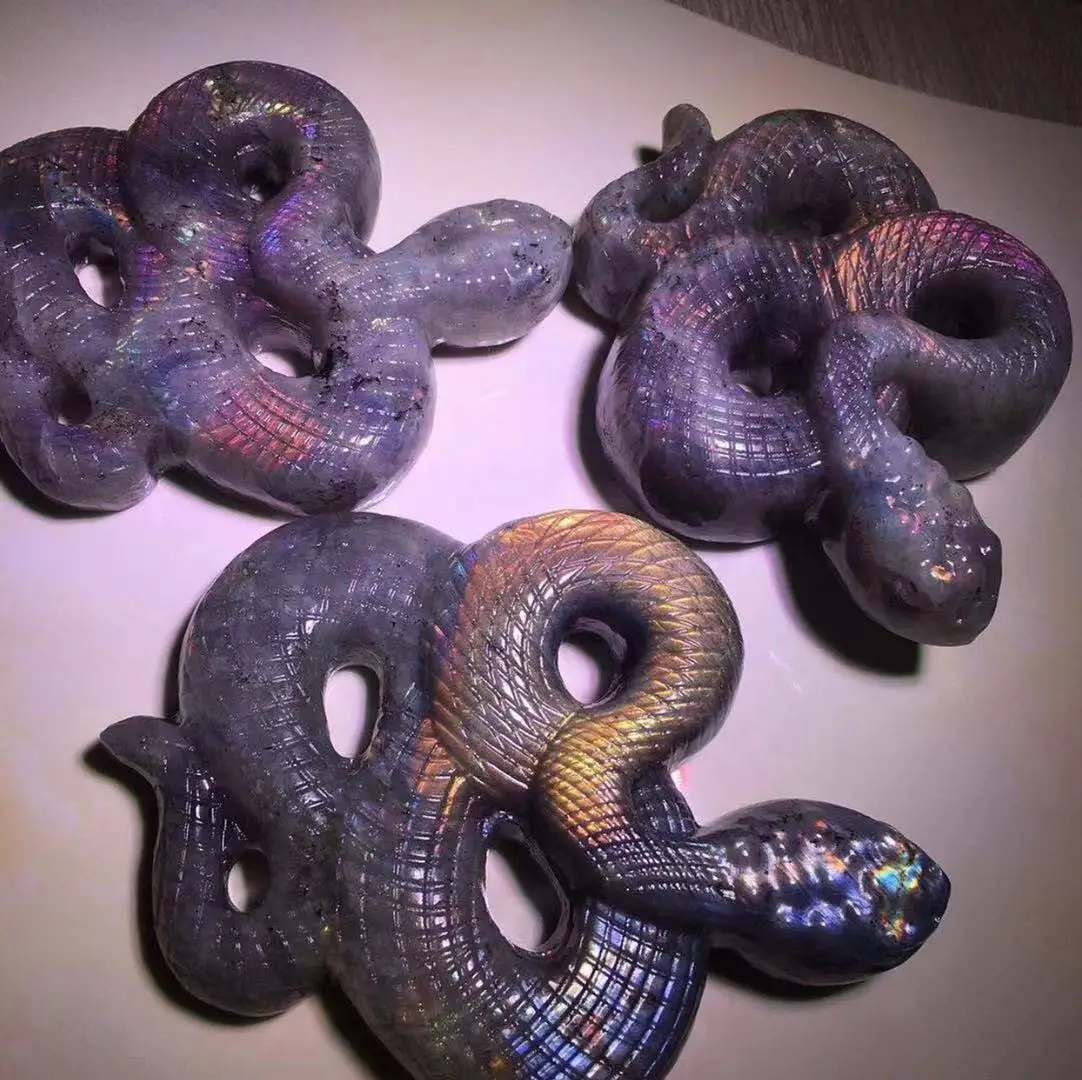 Purple Corn Snake