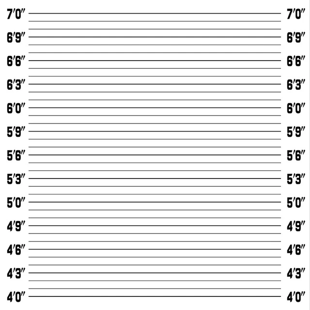Blank Mugshot Template