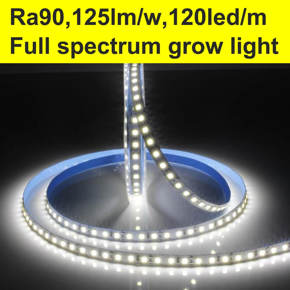 5m~80m Full Spectrum High Cri+90 2835 12v 24v 2835 Led Light Strips For ...