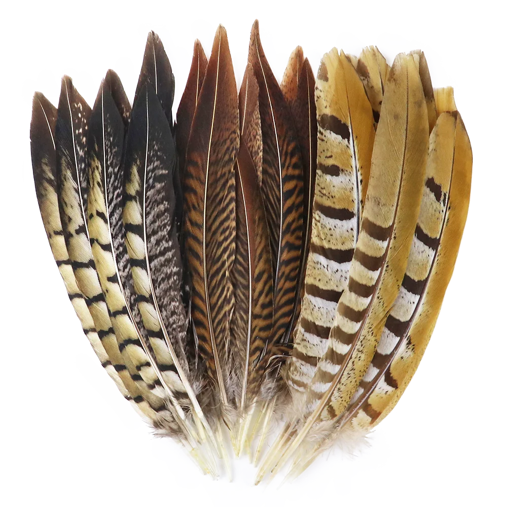 Plumas de faisán naturales para decoración, plumas de faisán Natural ...