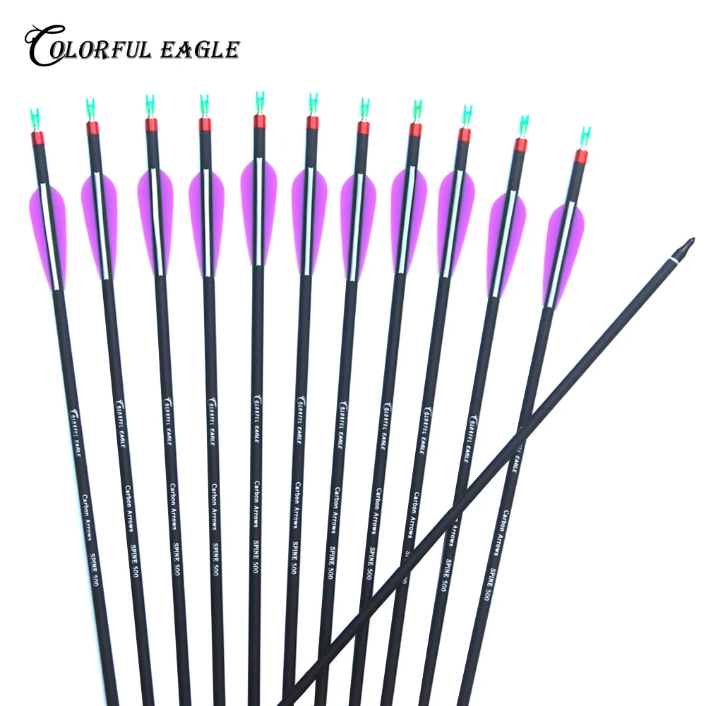 28-30-31-Inch-Carbon-Arrows-Spine-500-With-Replaceable-Tips-for ...