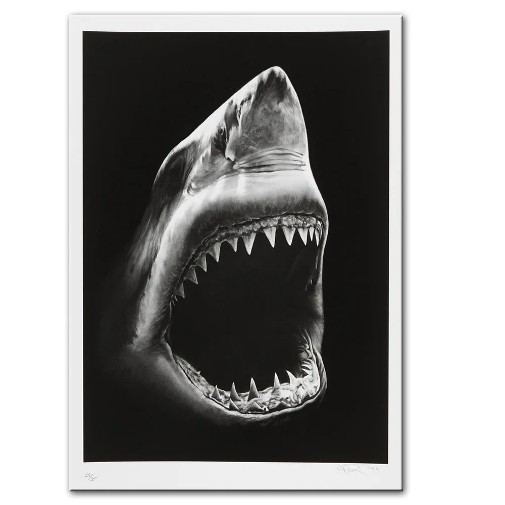 Sea creatures overlord shark printing decorative painting|Painting ...