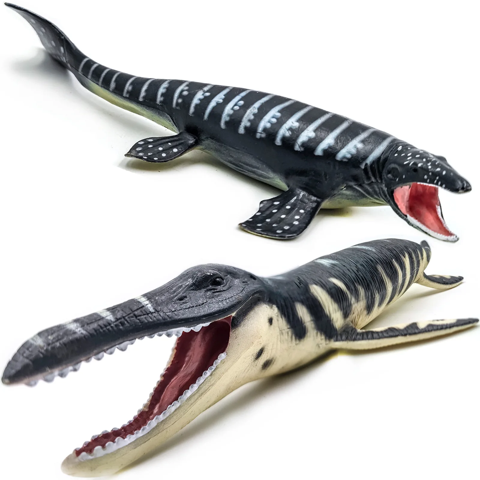 NEW-Sea-Life-Animal-Prehistoric-life-dinosaur-Sliding-tooth-Dragon ...