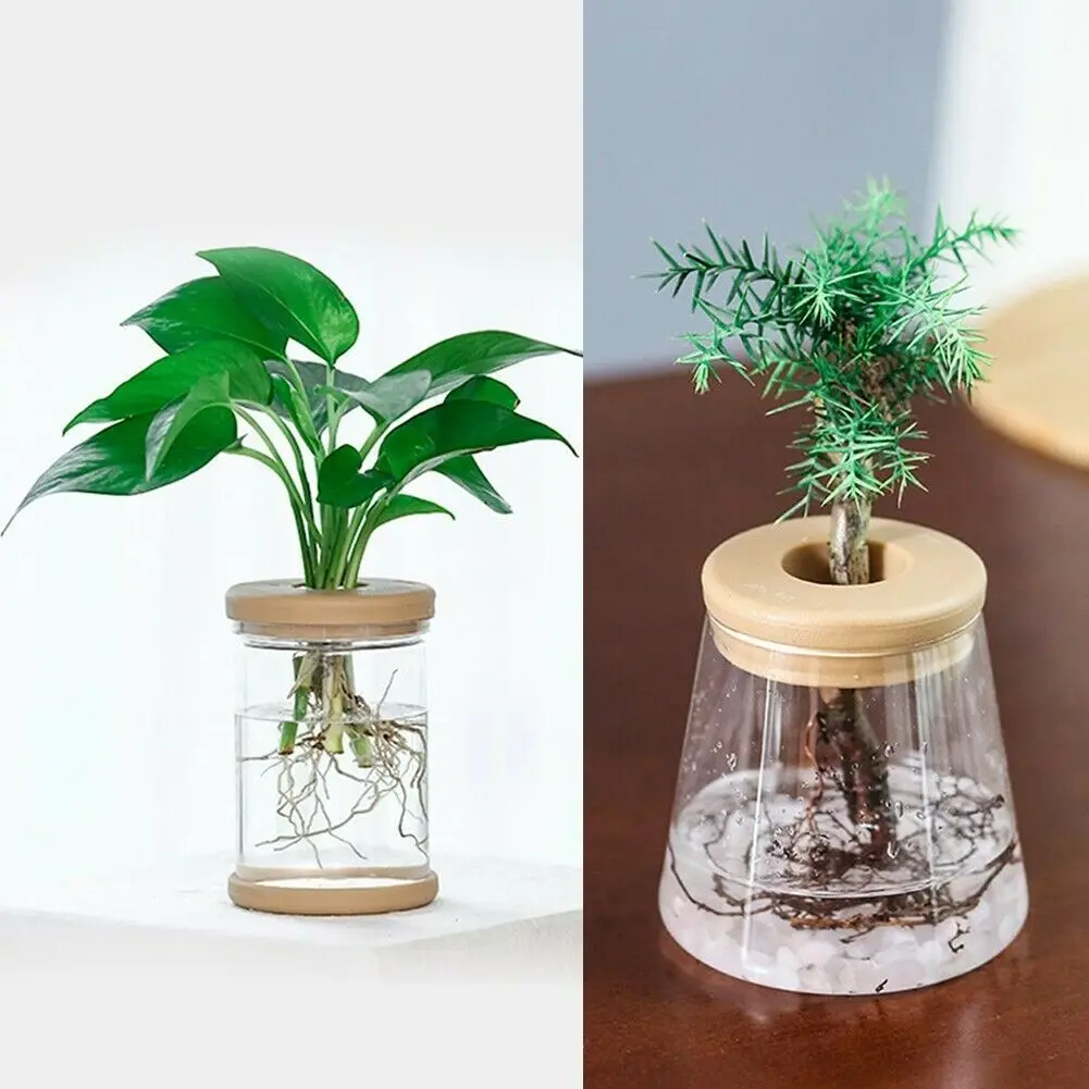 Transparent-Hydroponic-Flower-Pot-Imitation-Glass-Small-Flower-Pot ...