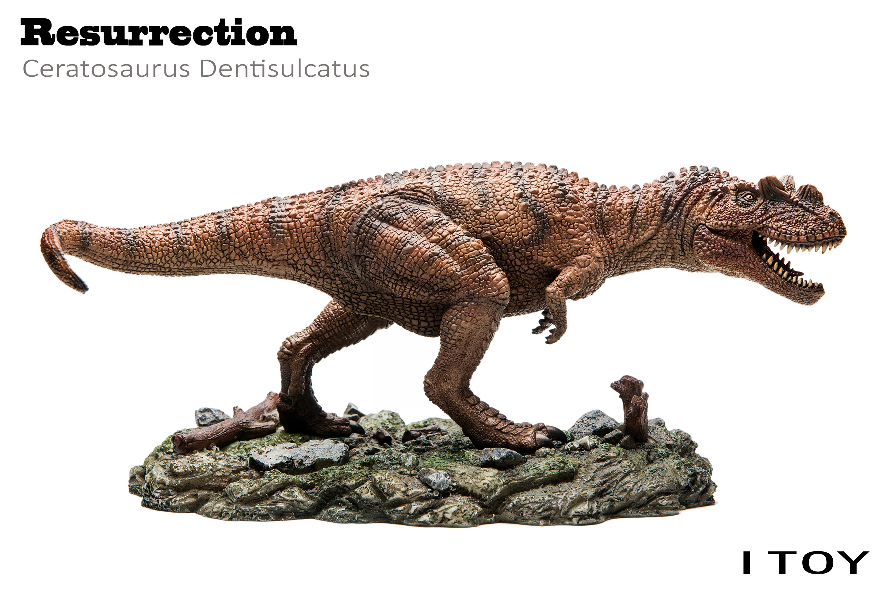 In Stock! Itoy Ceratosaurus Statue Ceratosauridae Dinosaur Figure ...