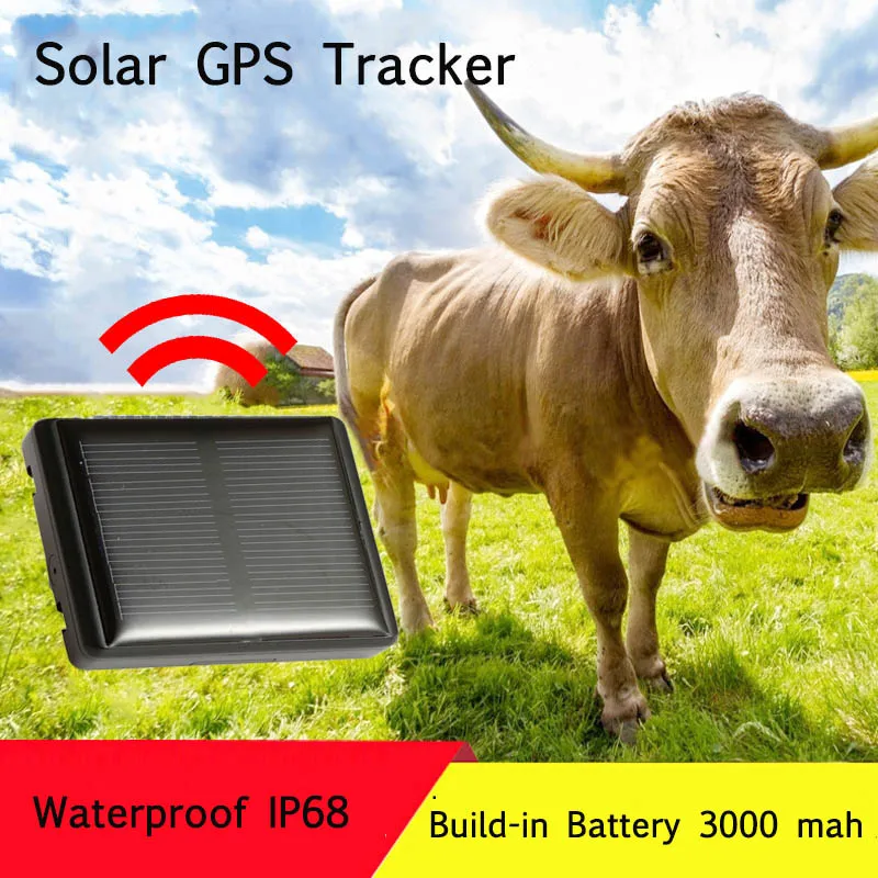 3000mAh Solar WIFI Cattle Cow Sheep Horse Camel Tracking Device GPS ...