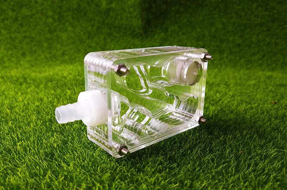 Valeur Style-E Fourmi en plâtre acrylique pour animaux de compagnie ...