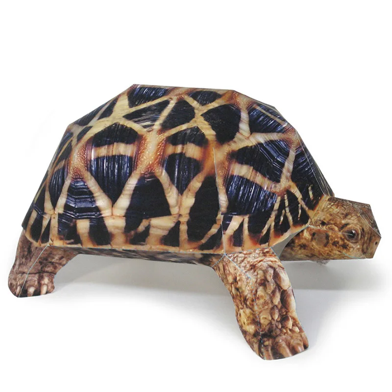 Indian Star Tortoise Paper Model Realistic Animal Mini Origami Art Cute ...