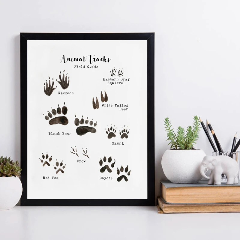 Woodland Animal Tracks Poster Canvas Art Prints , Animal Tracking ...