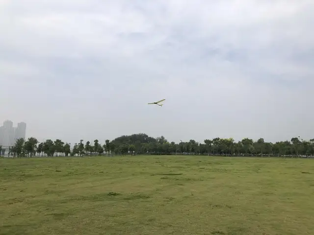 GTRC MINI DLG RC glider plane toy Competitive version - Babbyone