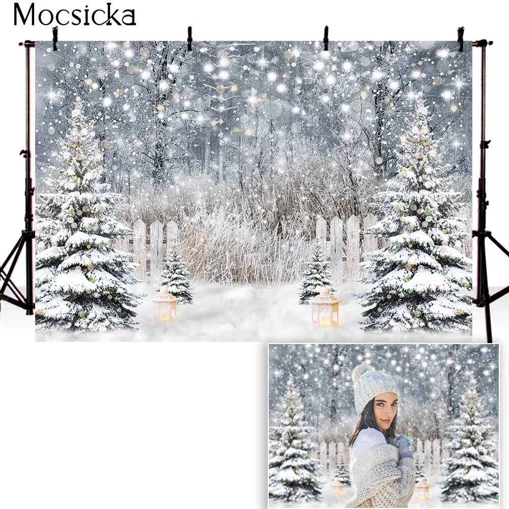 Winter Photography Background