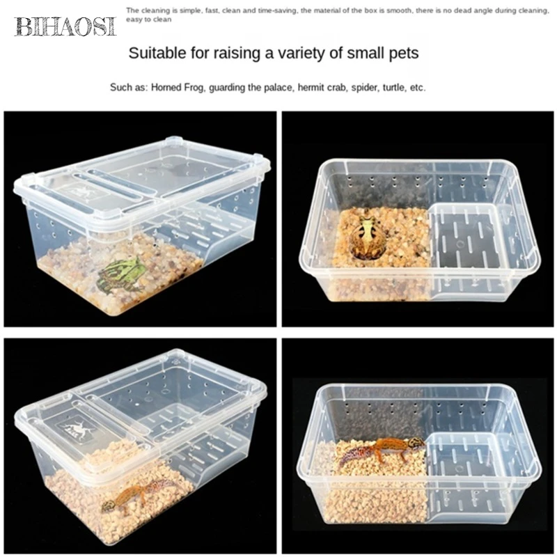 Reptile feeding box amphibious feeding box palace guard ciliary horn ...