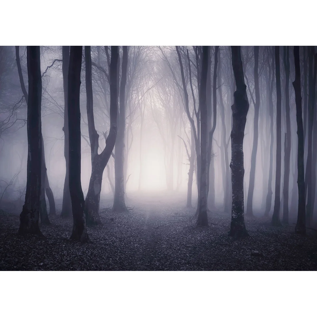 Zombie Forest Background