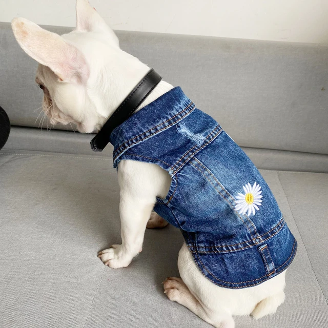 Denim Outfits For Dogs