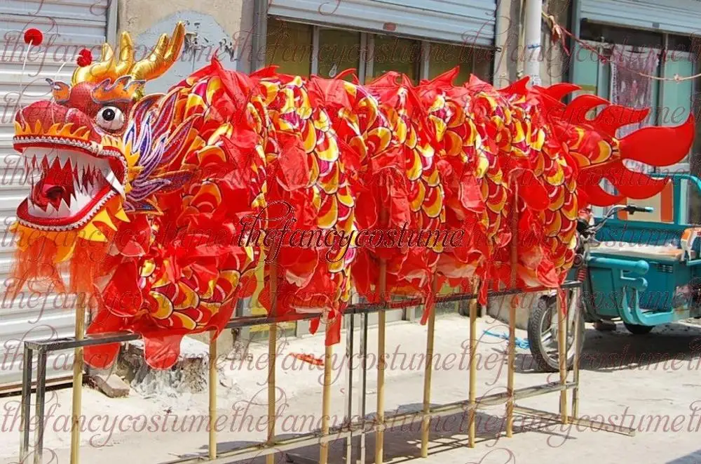 Real Chinese Dragon Costume
