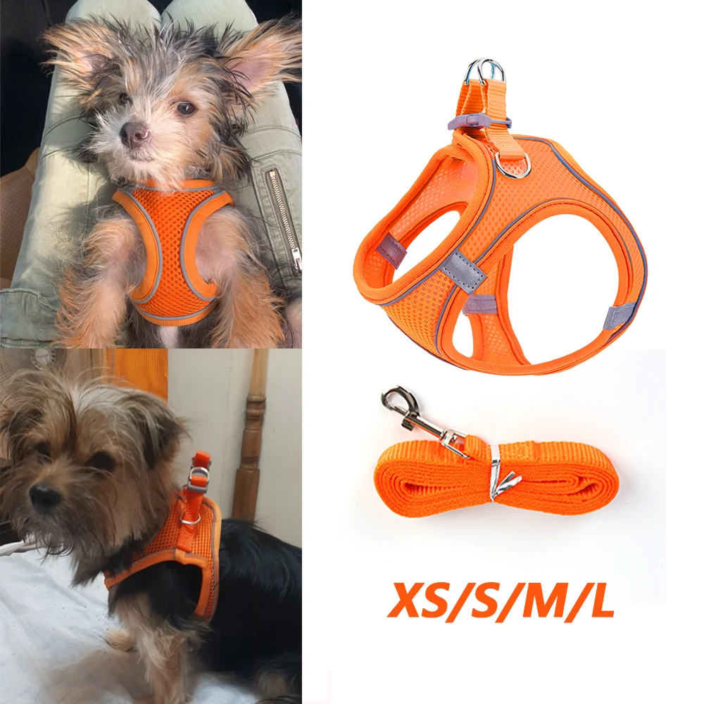 Dog-Chest-Strap-Leads-Reflective-Chain-Harness-Dog-walking-rope-Cat ...