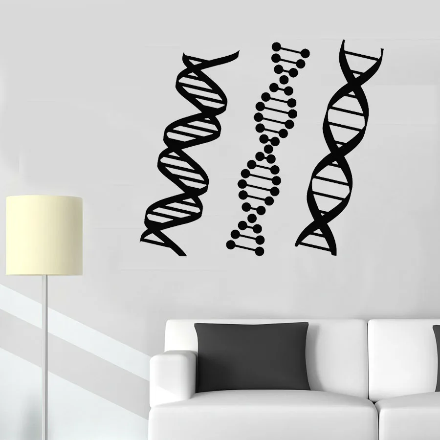 DNA Genealogy Wall Sticker Biology Chemistry Decal School Science Class ...