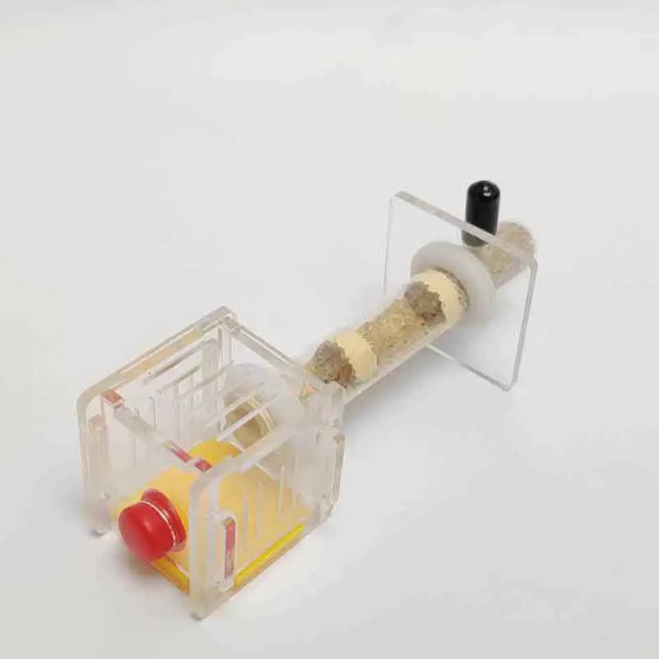 Mini fazenda para formiga com área e tubo de articulação de bambu ...