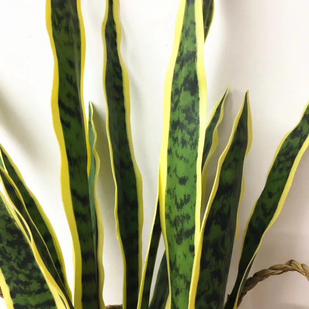 Planta Espada-de-são-jorge artificial de 60cm (sansevieria trifasciata ...