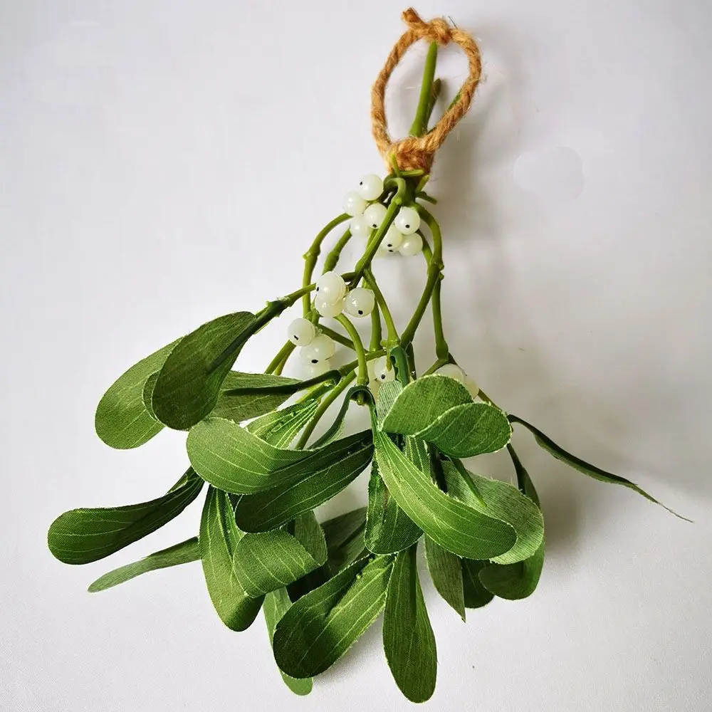 Christmas Mistletoe Decoration | Mistletoe Christmas Plants ...