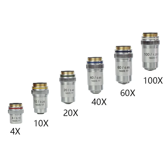 Microscope Objective Magnification