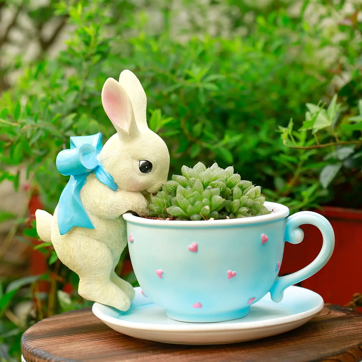 Teacup Bunnies Toy