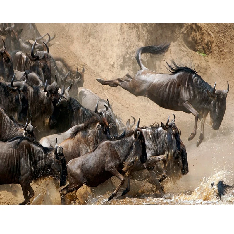 Running wild ox picture DIY 풀 스퀘어 (times square) 다이아몬드 모자이크 자 수 ...