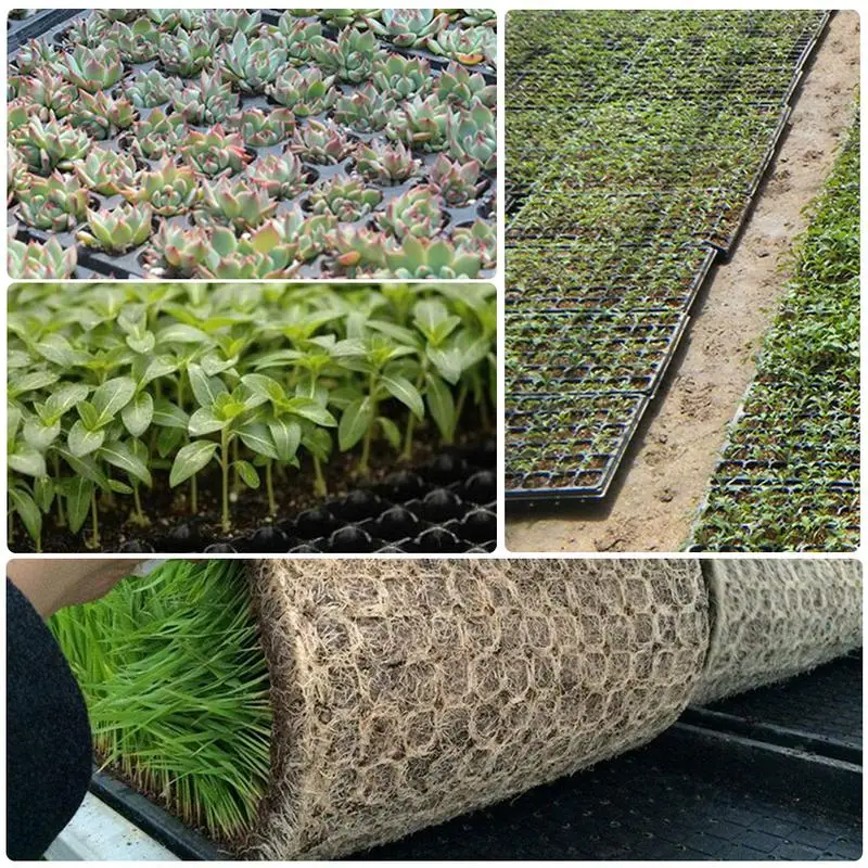 200 Cells PP Seedling Growing Cases Germination Plant Propagation Pot ...
