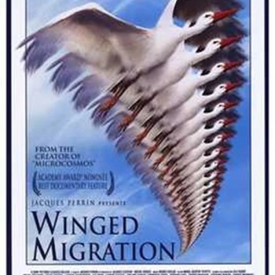 Winged Migration Movie Poster (11 x 17)|Plaques & Signs| - AliExpress