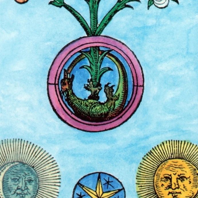 Alchemy Illustration Poster Print by Science Source (24 x 36)|Plaques ...