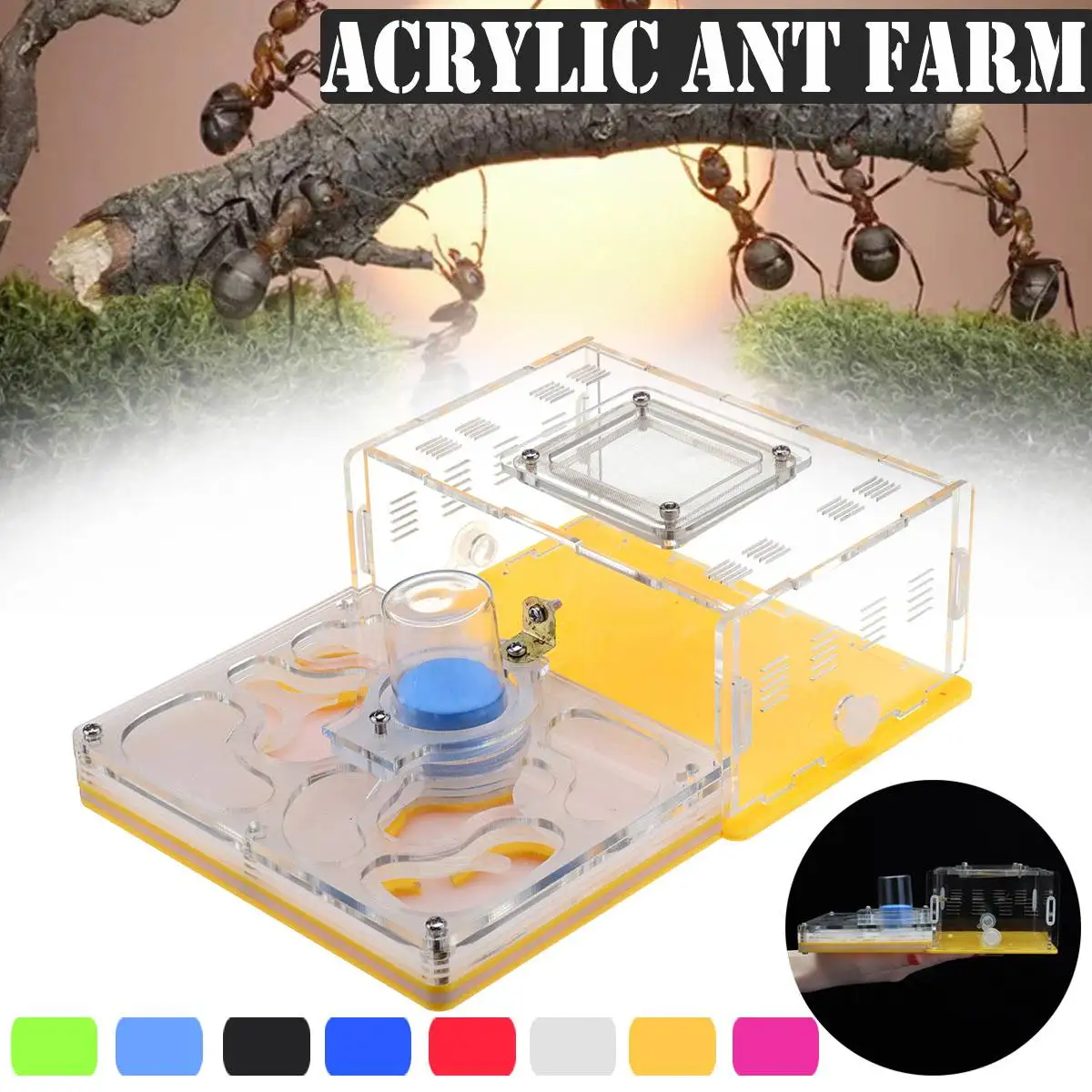 DIY Ant Nest Ant Farm Ants Work Educational Formicarium Acryl Insect ...
