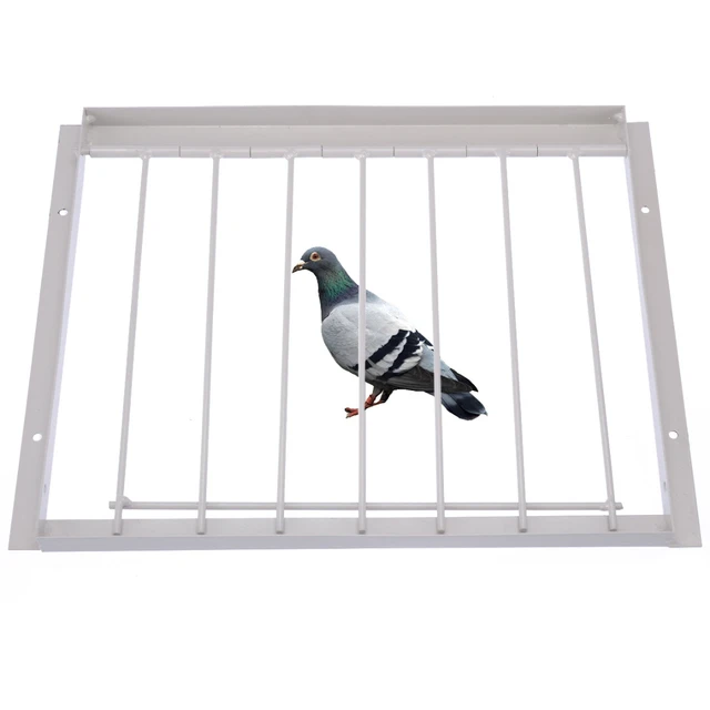 Fantail Pigeon Loft