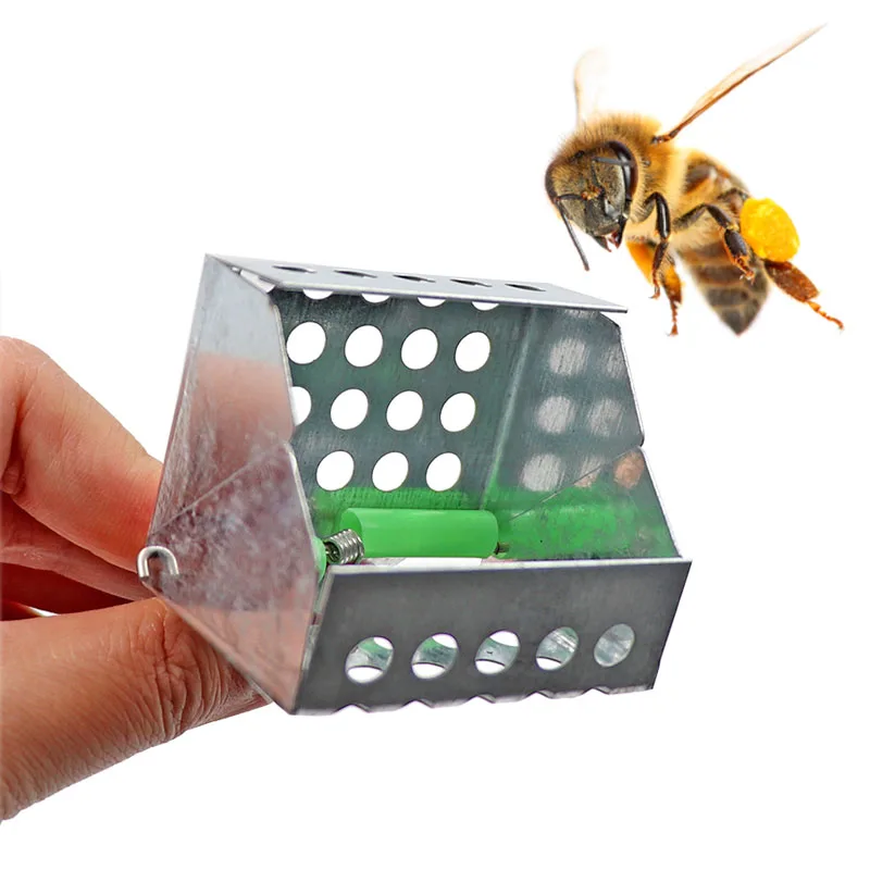 2-pcs-Queen-Bee-Catcher-Bees-Catchers.jpg